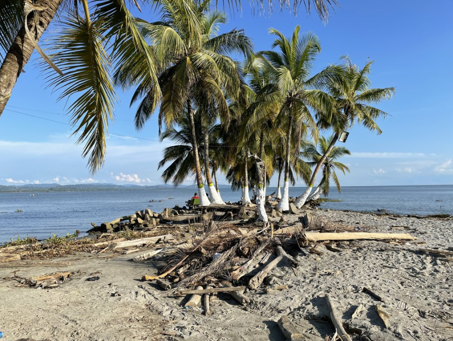 Borderless360: ASEAN SEDP AWARD 2021 | BORDERLESS360